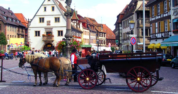 Vacances Directes: Le camping le Ried*** : l'Alsace authentique et ...