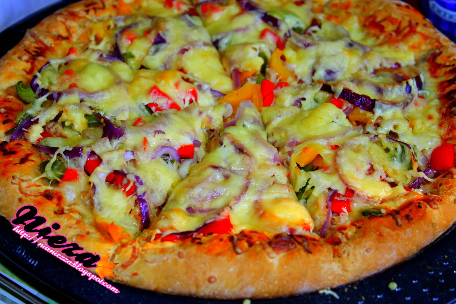 Our Journey Begins: Pizza Tuna