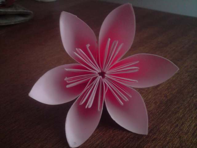 Floraria handmade ... cu flori din hartie: Floricele origami handmade ...