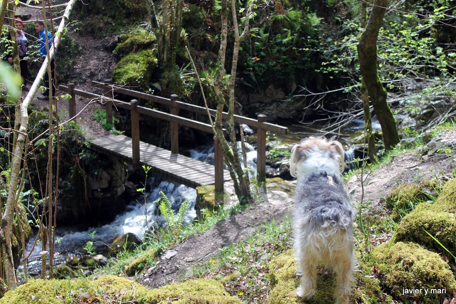 senderismo con bambi: 062 Fuensanta - Foces del Pendon - La Varallonga ...