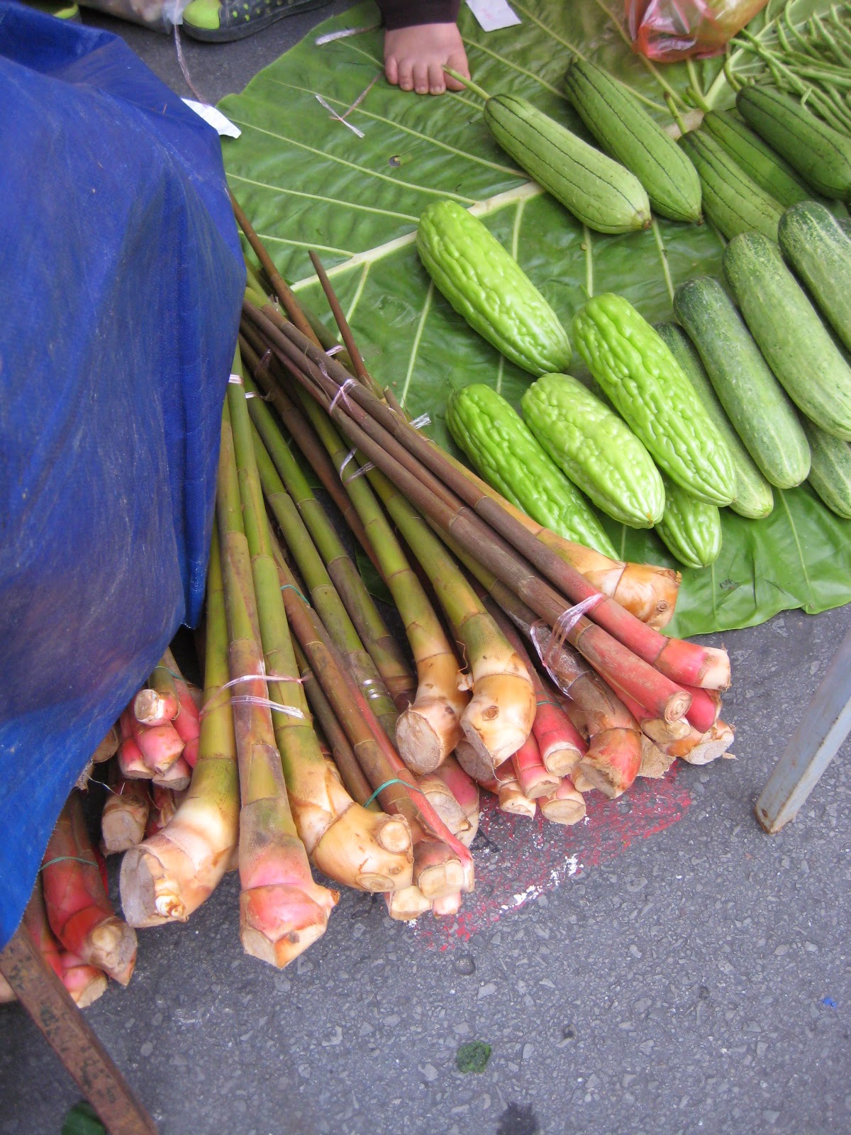 Land Below The Wind Part II ~ As Life Goes On...