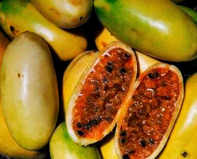 Cocina de Autor Fusión Peruano Mediterráneo: El Tumbo