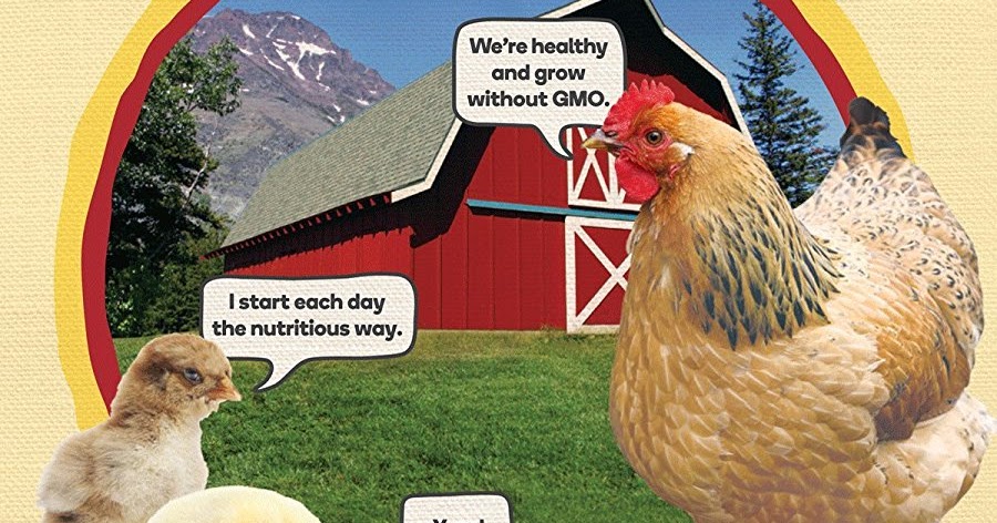 Feeding Chickens on the Cheep!