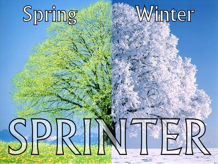 Slap The Penguin: Meteorologists create a new season called Sprinter