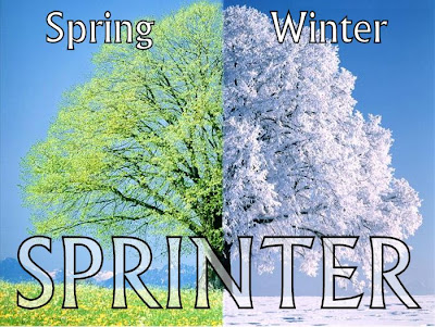 Slap The Penguin: Meteorologists create a new season called Sprinter