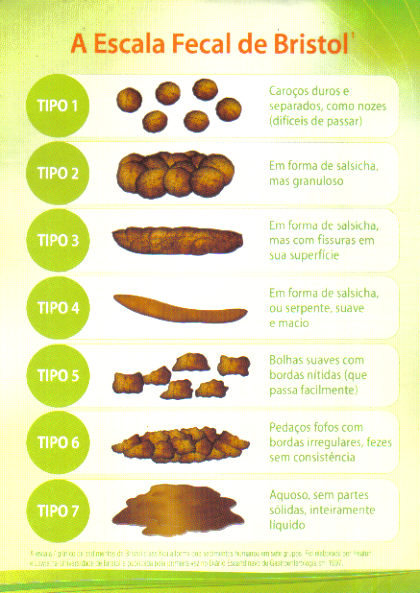 Ser Integral e Funcional: Escala Fecal de Bristol