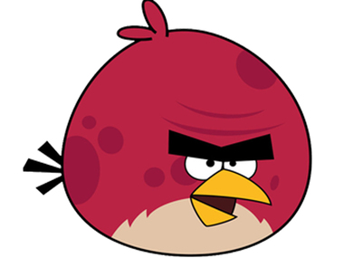 Todo Angry Birds: Info