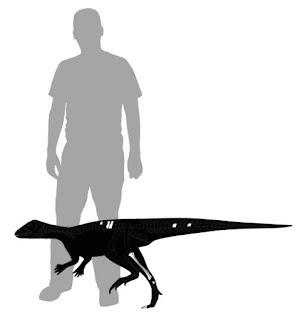 Palaeos, la historia de la Vida en la Tierra: junio 2013