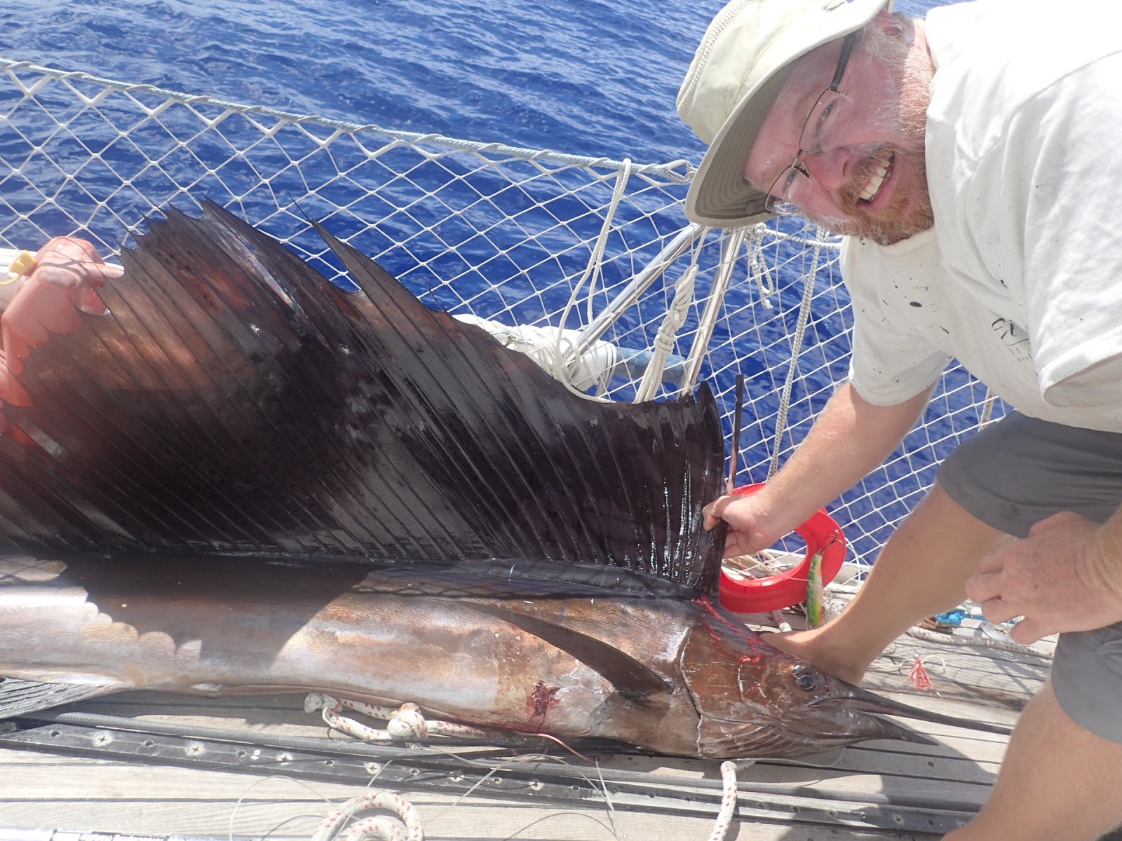 SV FLUENTA : Savusavu to Tuvalu Photos - Fish and Squalls.
