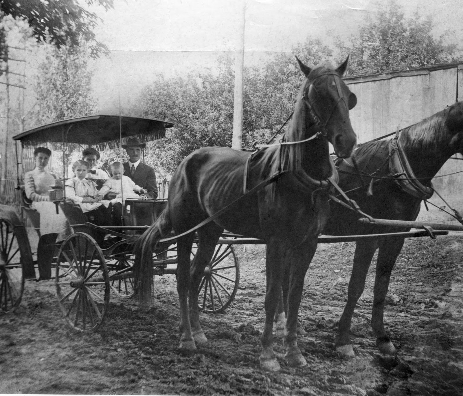 Leaves on the Raney Tree: Our Earliest Indiana Ancestors - The Erwins ...