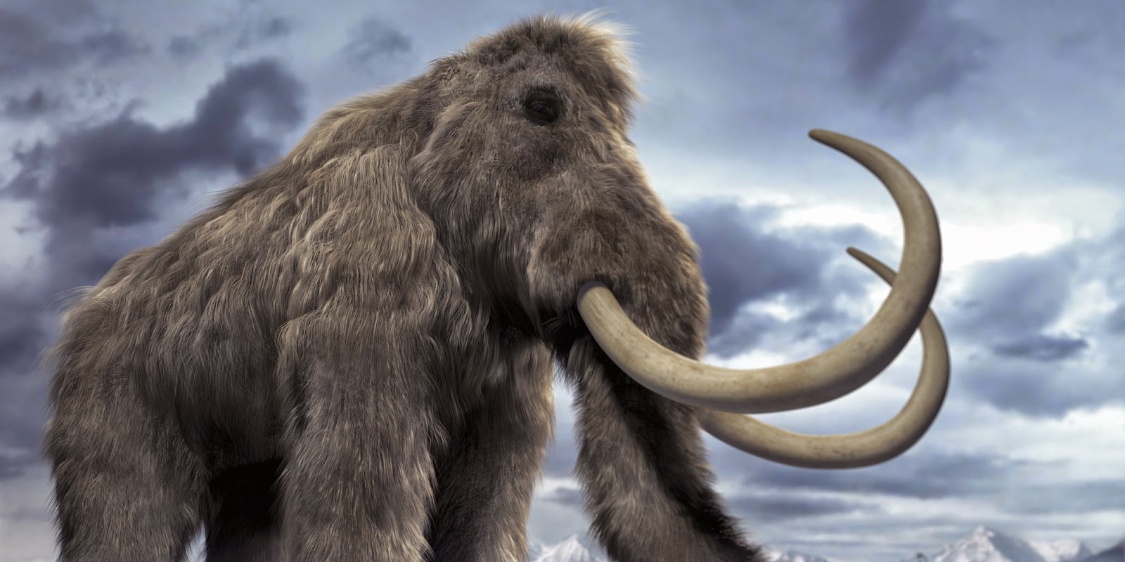 Svijet i Zanimljivosti: Kloniranje mamuta je sve bliže stvarnosti