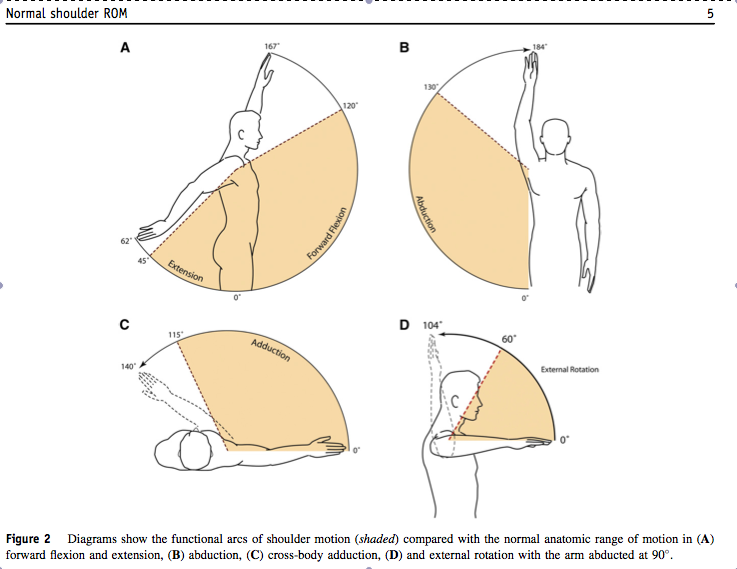 Todo Cultura Física & Deportes: Bimomecánica del hombro
