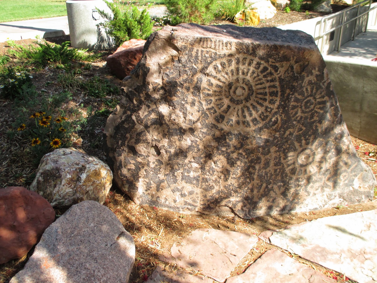 Backyard Excursions: Petroglyphs in Downtown Mesa