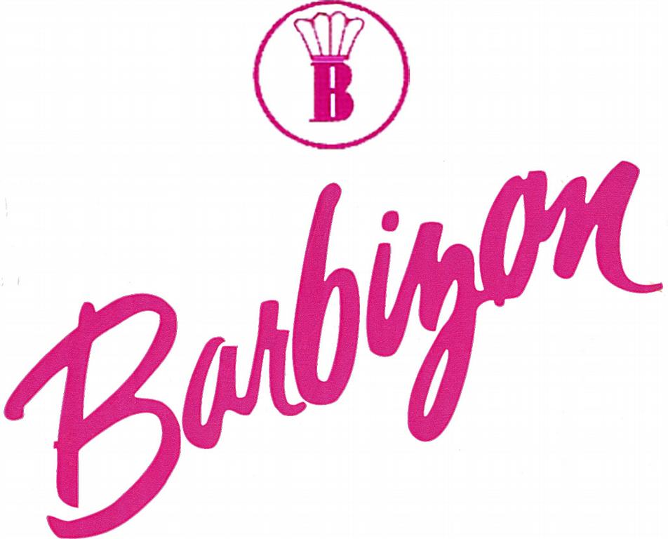 ElloMissBlue!: ♡ My Experience with Barbizon Modeling and Talent Agency