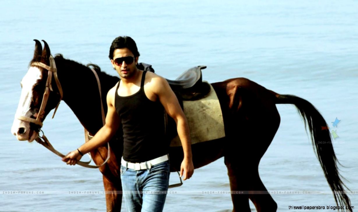 Shaheer Sheikh Cool Wallpaper | This Wallpapers