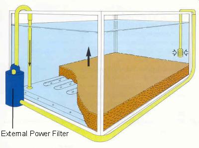 aqua one filter: Types of Aquarium Filters
