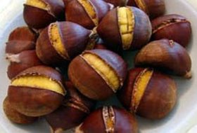 Plantatii cu castani