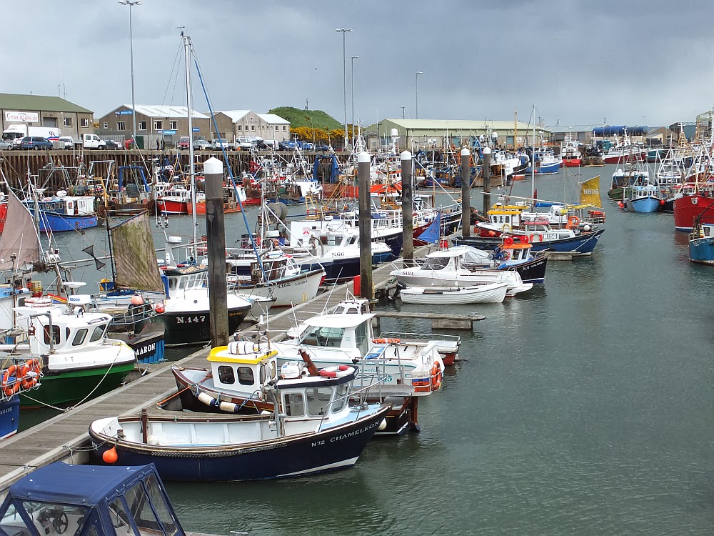 Irish Wildscapes: Around Kilkeel Harbour