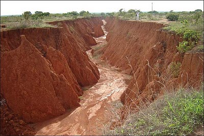 Tudo sobre Engenharia Civil: Erosão
