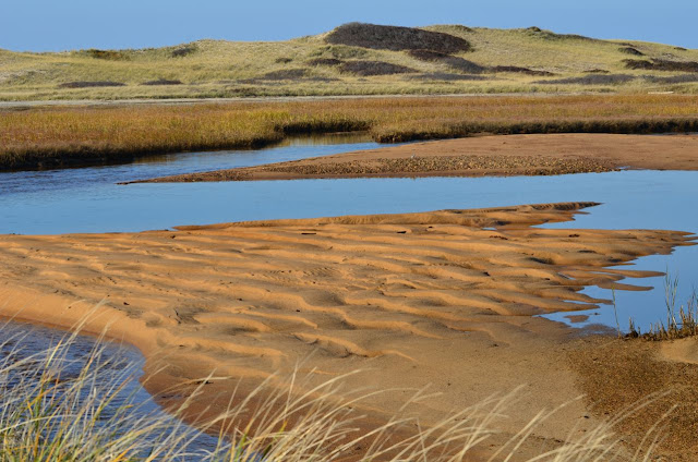 Flower Hill Farm: Glimpses From The Edge - A Wildlife Sanctuary - Cape ...