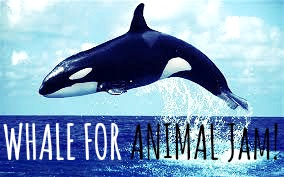 Animal Jam: A Jammerz Sky