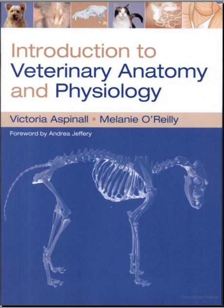 mvzdocs-introduction-to-veterinary-anatomy-and-physiology-pdf