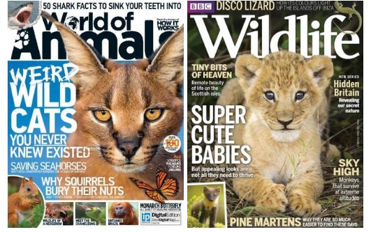 Magazines - World Of Animals – Issue 38 2016 - BBC Wildlife – October ...