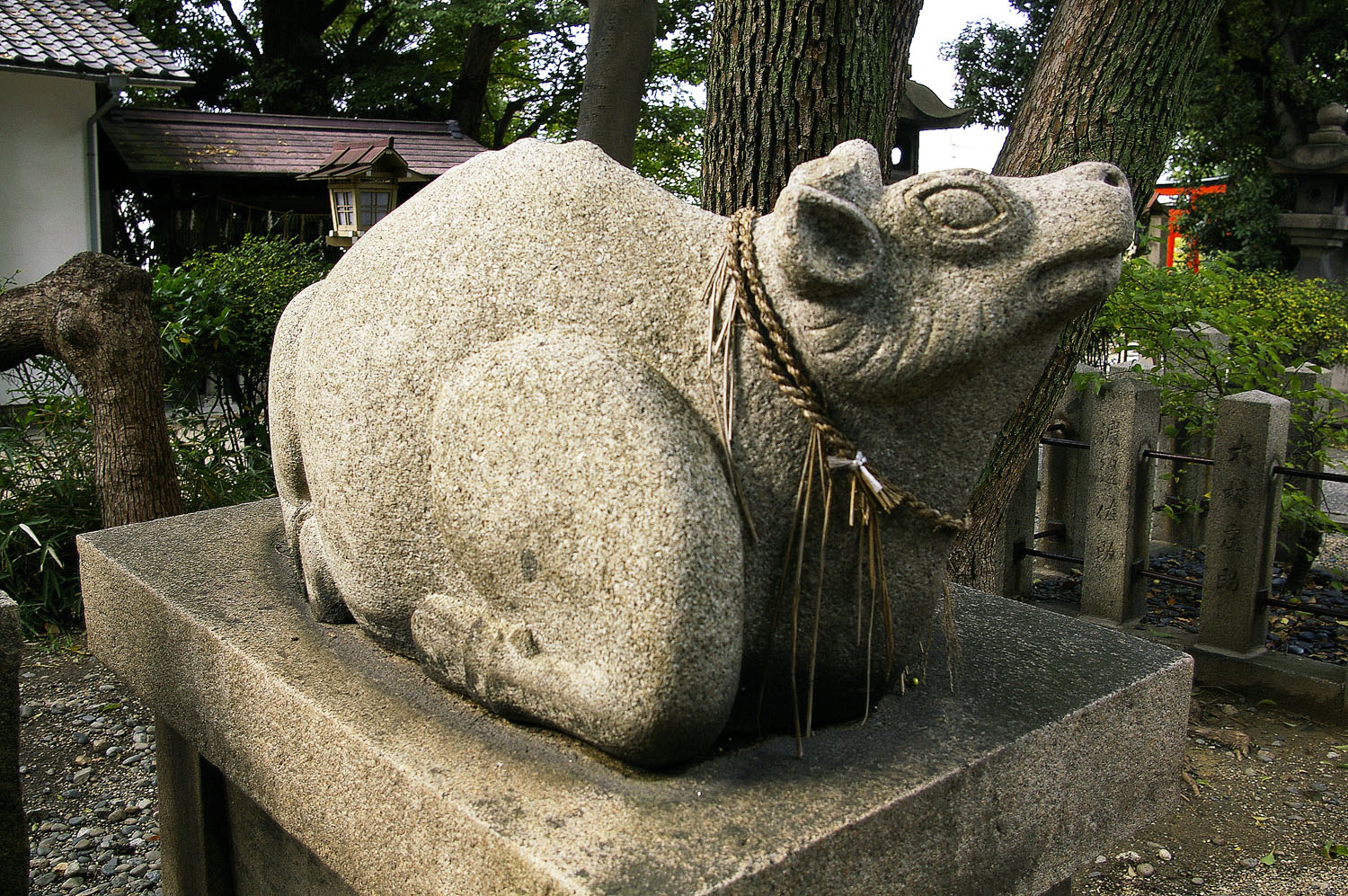 Poradnik. Przewodnik po shintoizmie dla zielonych - Z uśmiechem przez ...