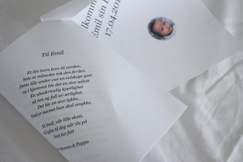 katrines ting: Prinse Dåp