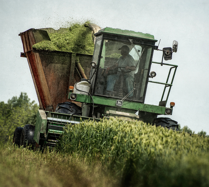 Dan Routh Photography: Wheat & Barley Silage