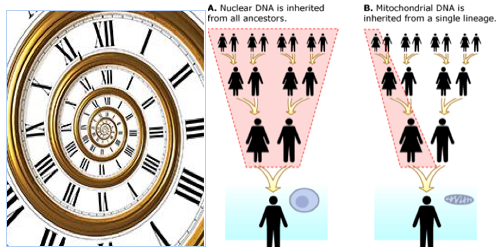 NephiCode: A Second, Closer Look at DNA – Part II
