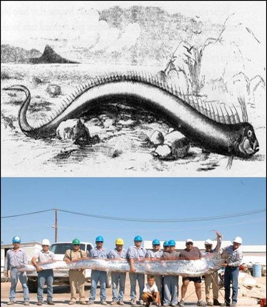 Ancient Sea Monsters-Sea Serpents ~ jhanie draftster