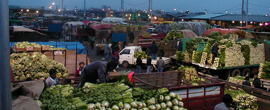 De:mi Para:ti, con amor: Lugares: Lo Valledor