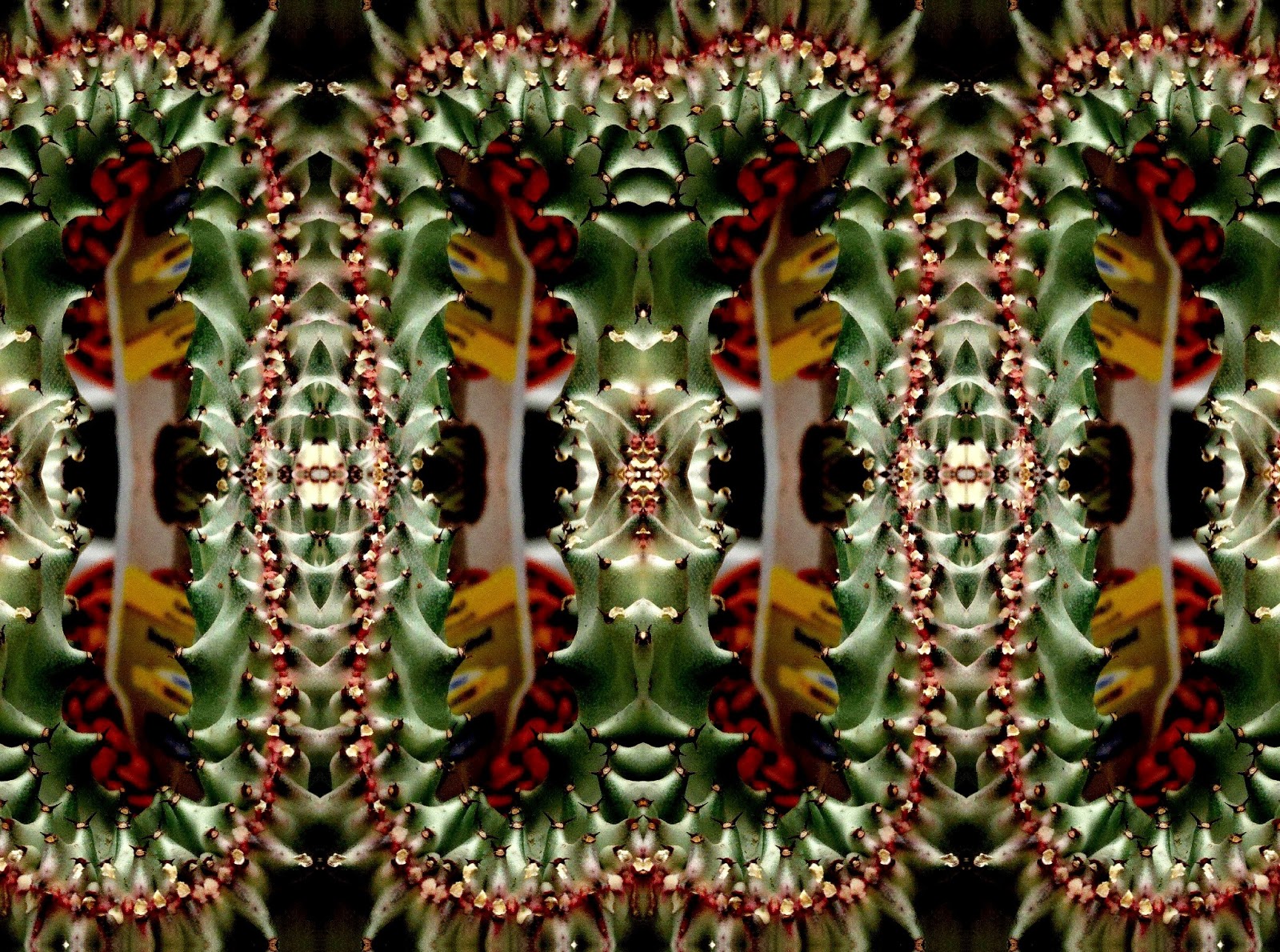 MarianneDowFoto Blog - Art Photography by Marianne Dow: Psychedelic ...