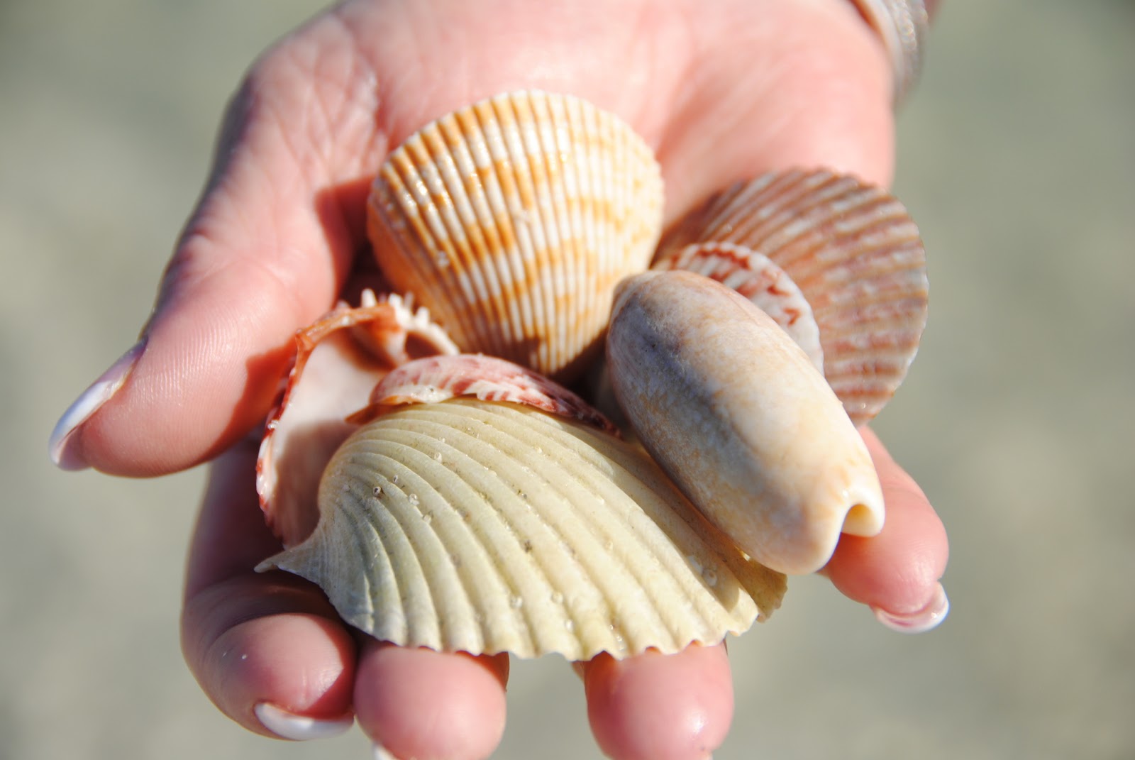 Capt. Brian's Observations On The Water