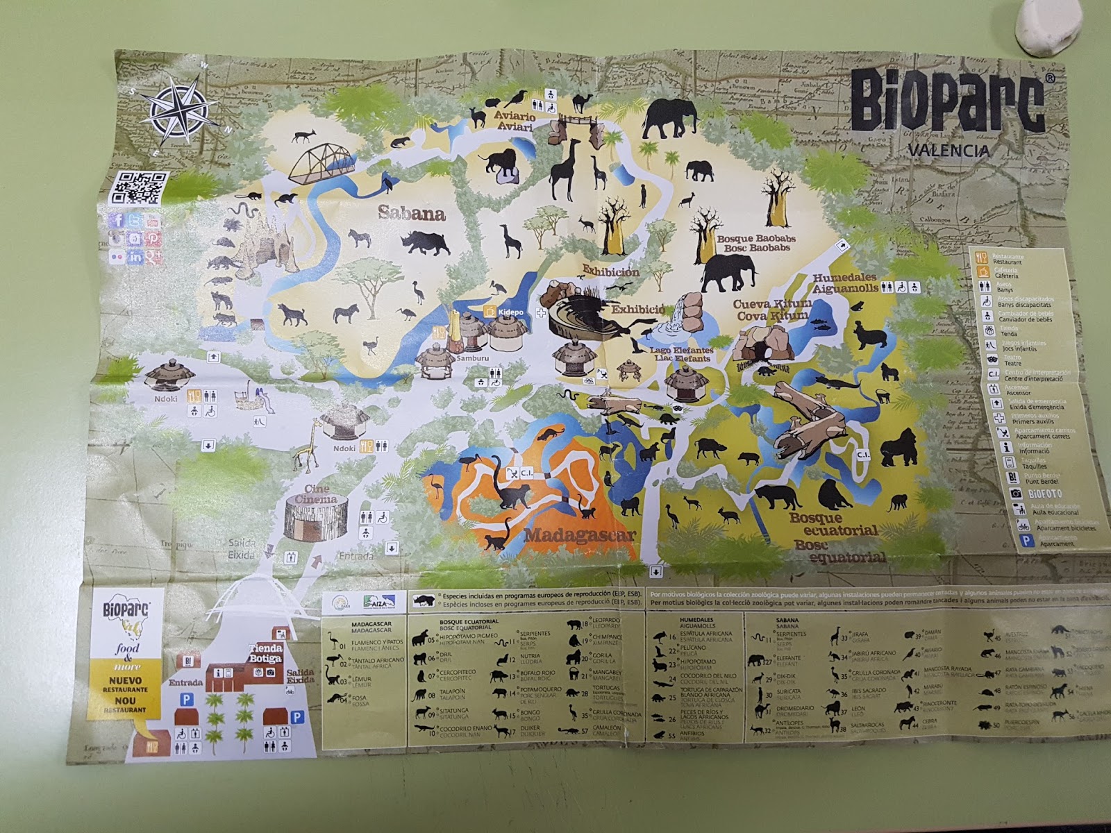 La clase de Laura: Pablo y el Bioparc