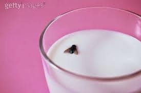 Man in Alora: An octupus in the garage. A fly in the milk and the ...