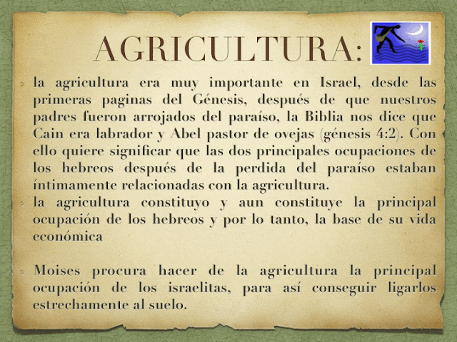 wconquista: SIEMBRA Y COSECHA