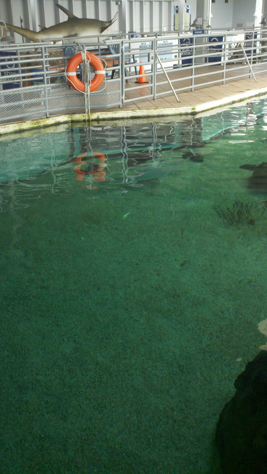 The Shekel - Coins, Law, and Commentary: Florida Trip - Oh, The Hugh ...