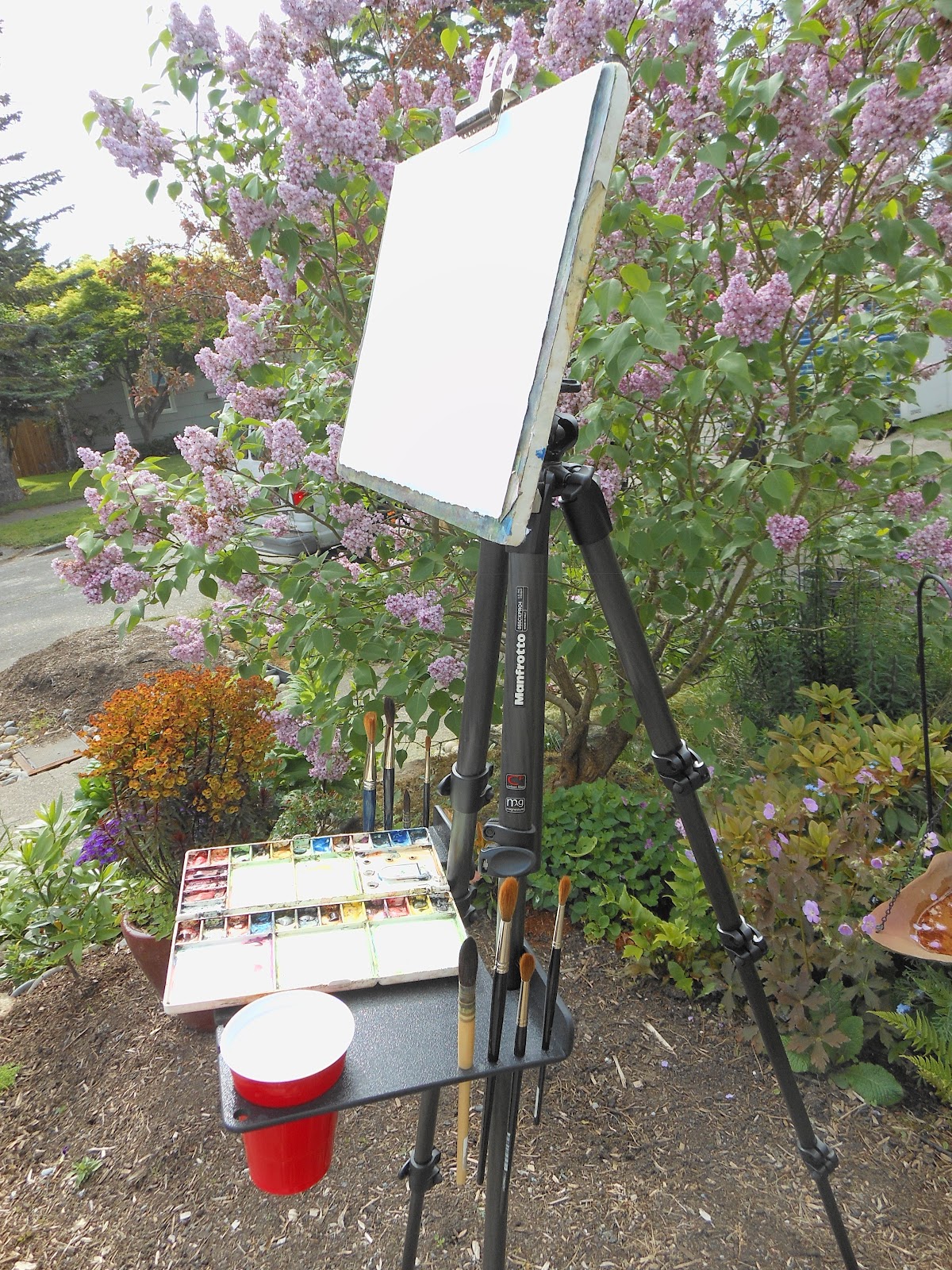 Megan Seagren's Journal: Setting up an Outdoor Easel