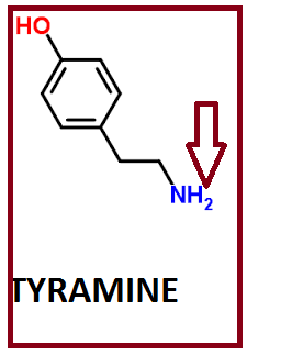 MAS PHARMACY REVIEW-HEALTH TIMES: AUTONOMIC NERVOUS SYSTEM-PART-VIII