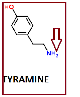 MAS PHARMACY REVIEW-HEALTH TIMES: AUTONOMIC NERVOUS SYSTEM-PART-VIII