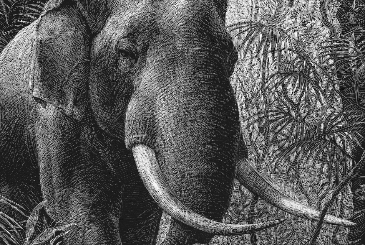 Design Stack: A Blog about Art, Design and Architecture: Wild Animals ...