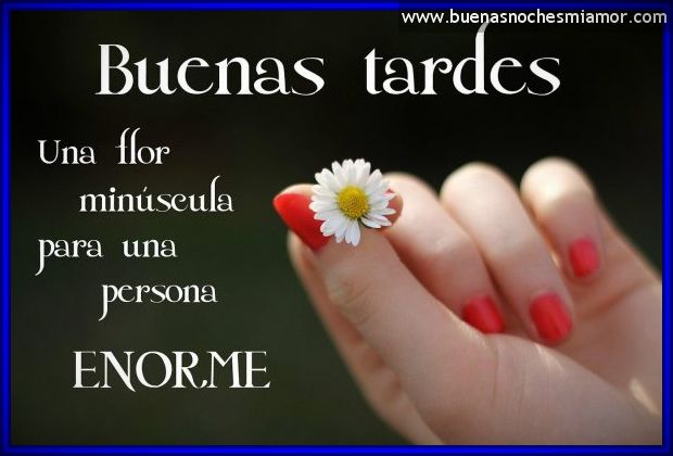 😙☀🍄🌺 Te deseo que pases una feliz tarde y que la suerte siempre te ...