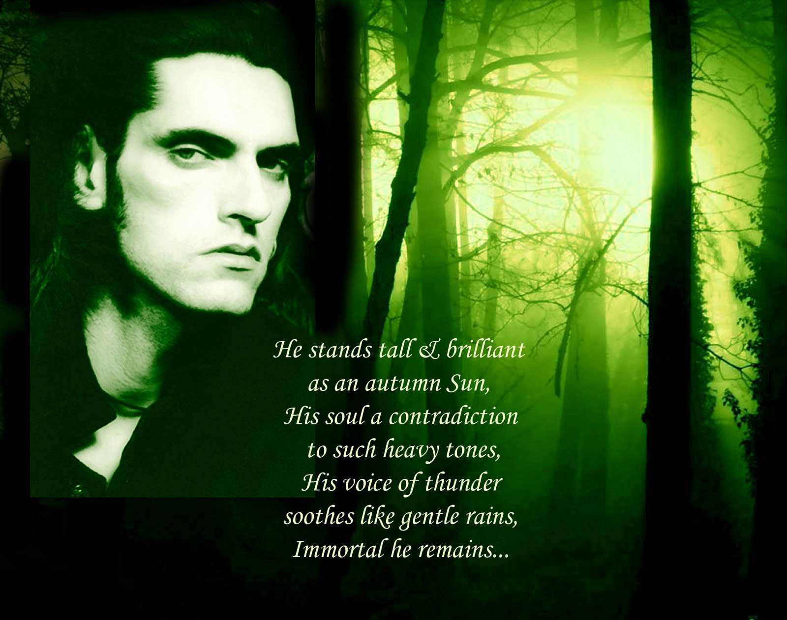 Peter Steele Quotes. QuotesGram