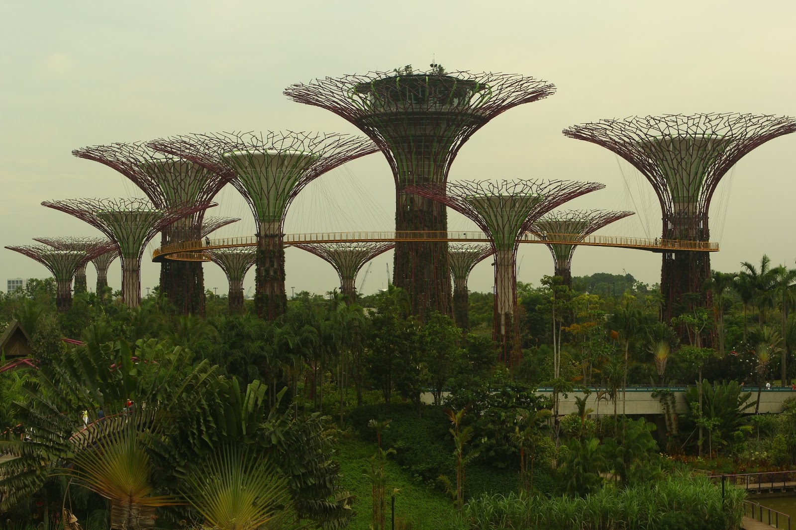 dani-sam-overland-singapore