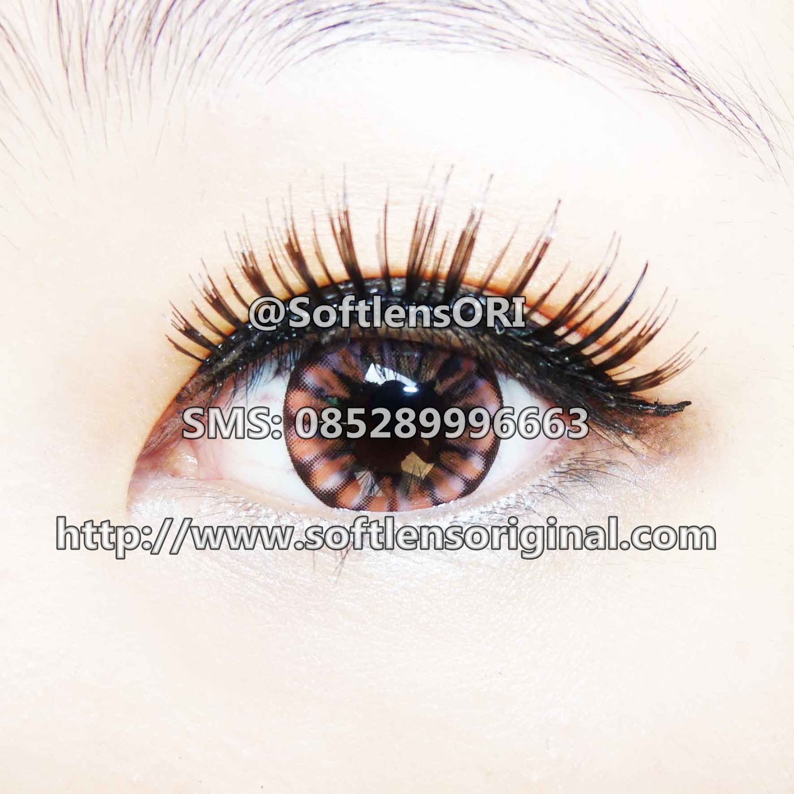 softlensoriginal.com: Jual Softlens EYE CANDY CHELL Murah, Asli, Original