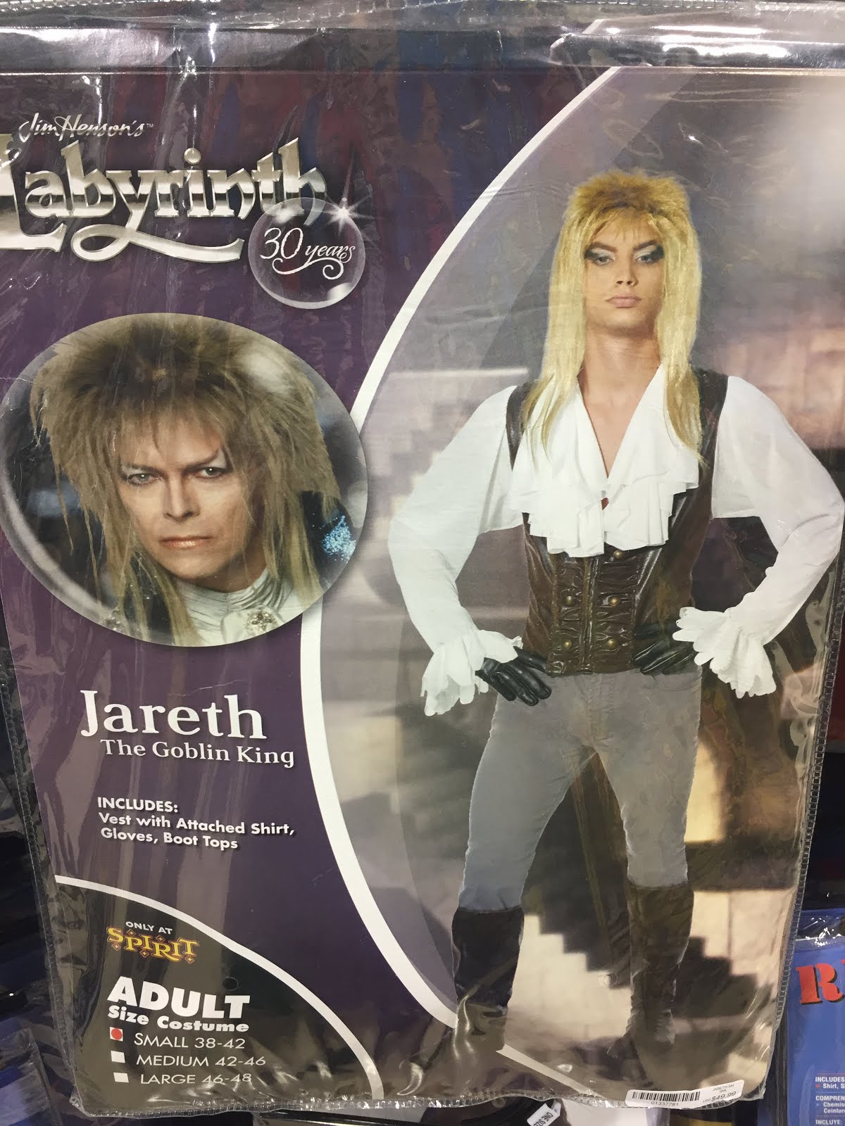 Muppet Stuff: Labyrinth Jareth Costume!