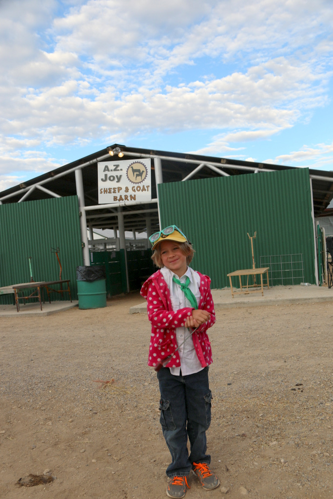 Desert Survivor: 2017 White Pine County Fair - Part 1: Livestock