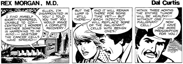 In Search of Rex Morgan, MD: 1977 Comic Strips: A Summary